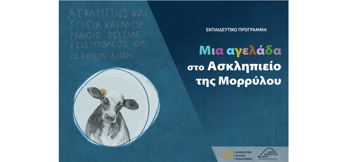 Μια αγελάδα στο Ασκληπιείο της Μορρύλου | ΑΡΧΑΙΟΛΟΓΙΚΟ ΜΟΥΣΕΙΟ ΘΕΣΣΑΛΟΝΙΚΗΣ