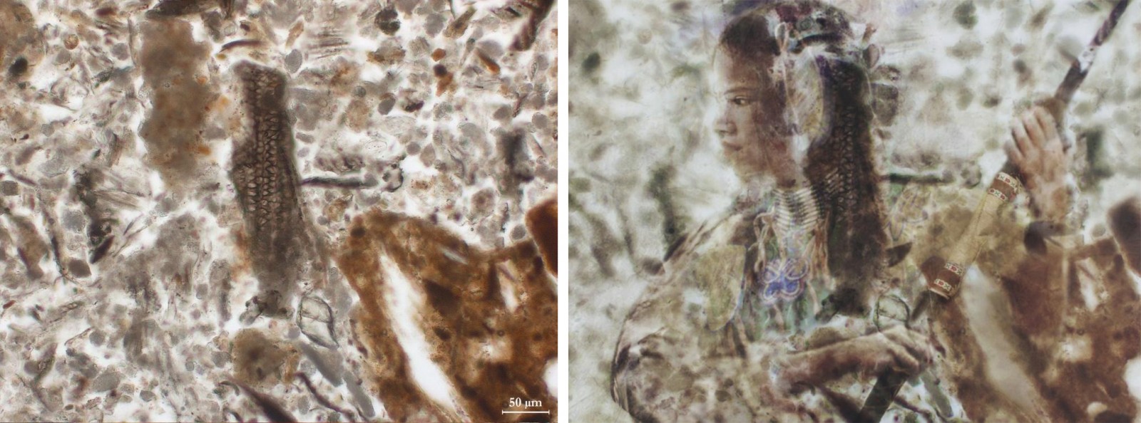 Transforming the invisible: from archaeological photomicrography to ...